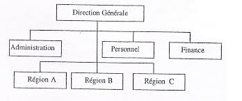Comment choisir votre structure organisationnelle ? – Creer-entreprise.com